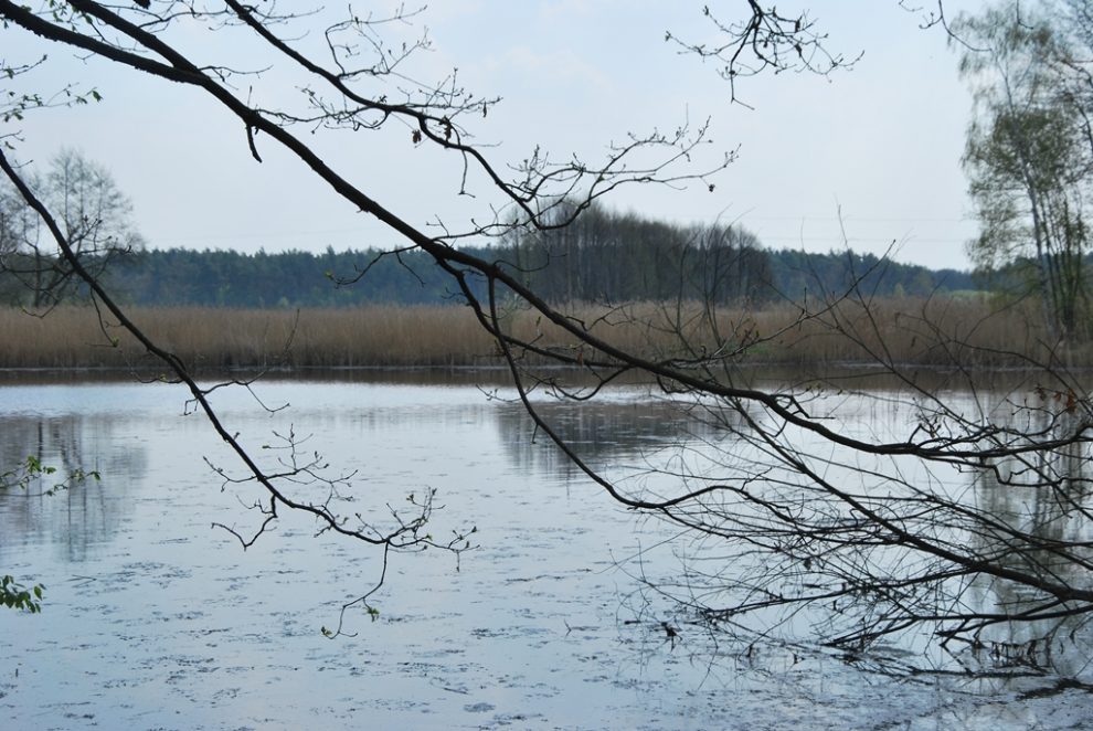 Arkadia Park i Pałac w Nieborowie - miejsca idealne dla wszystkich ...
