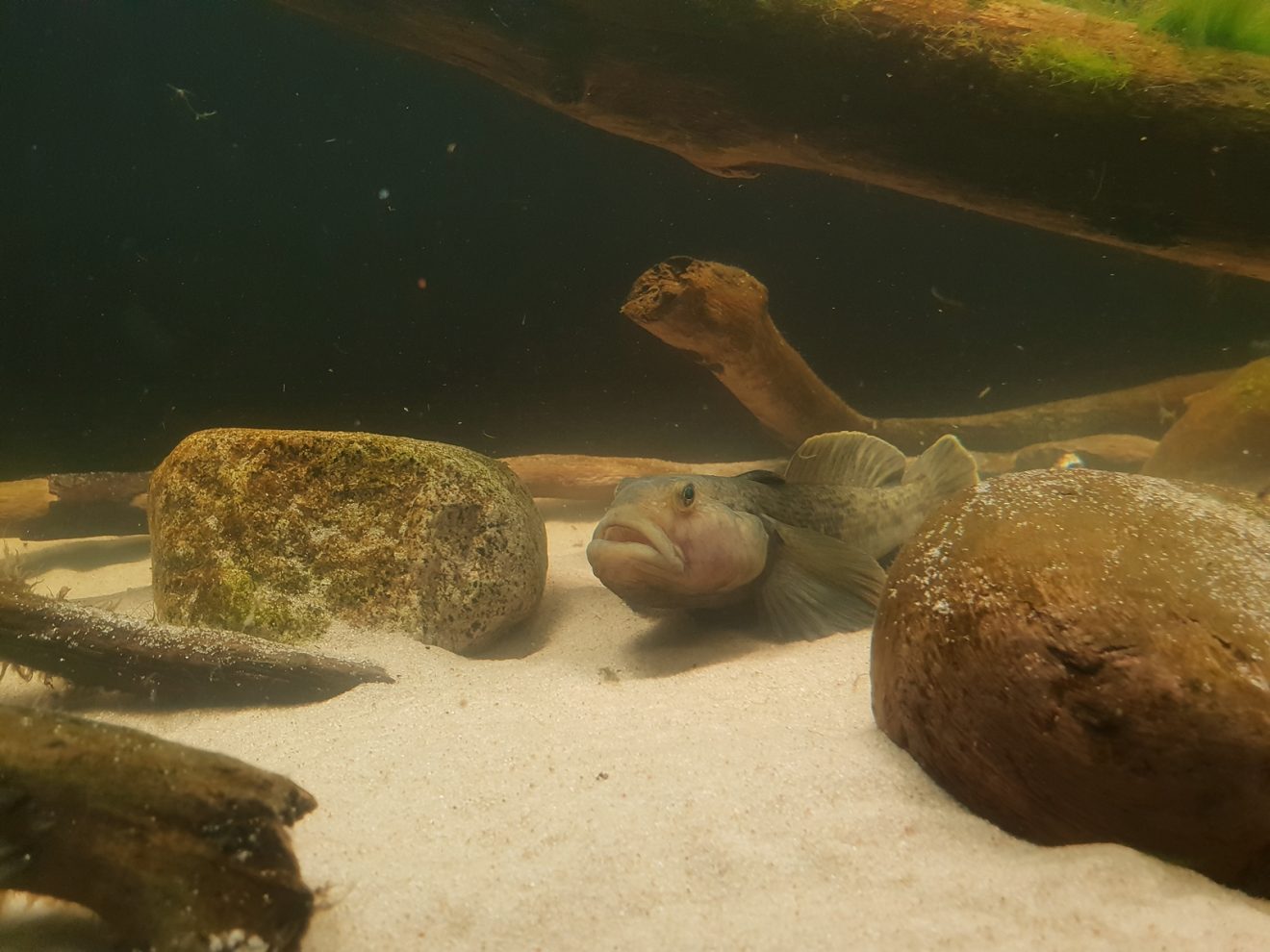 Hel to nie tylko foki! Zobacz które atrakcje warto zobaczyć | Skomplikowane