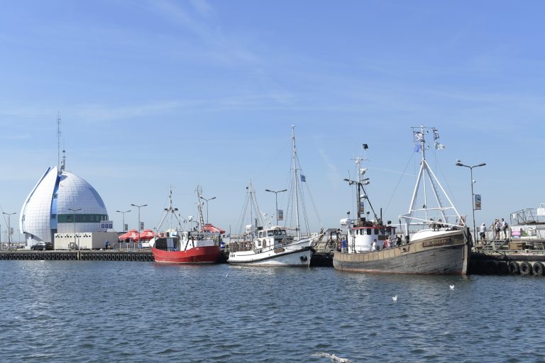 Hel to nie tylko foki! Zobacz które atrakcje warto zobaczyć | Skomplikowane