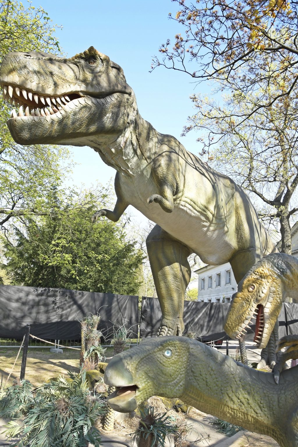 Living Dinosaurs – wystawa żywych dinozaurów w Warszawie. Jak było ...