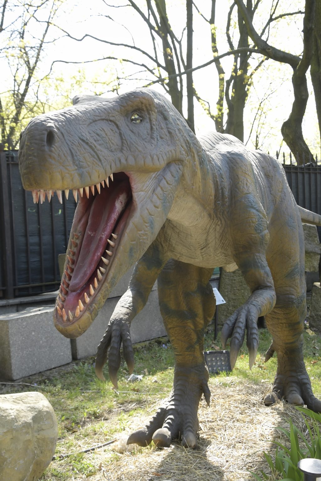 Living Dinosaurs – wystawa żywych dinozaurów w Warszawie. Jak było ...