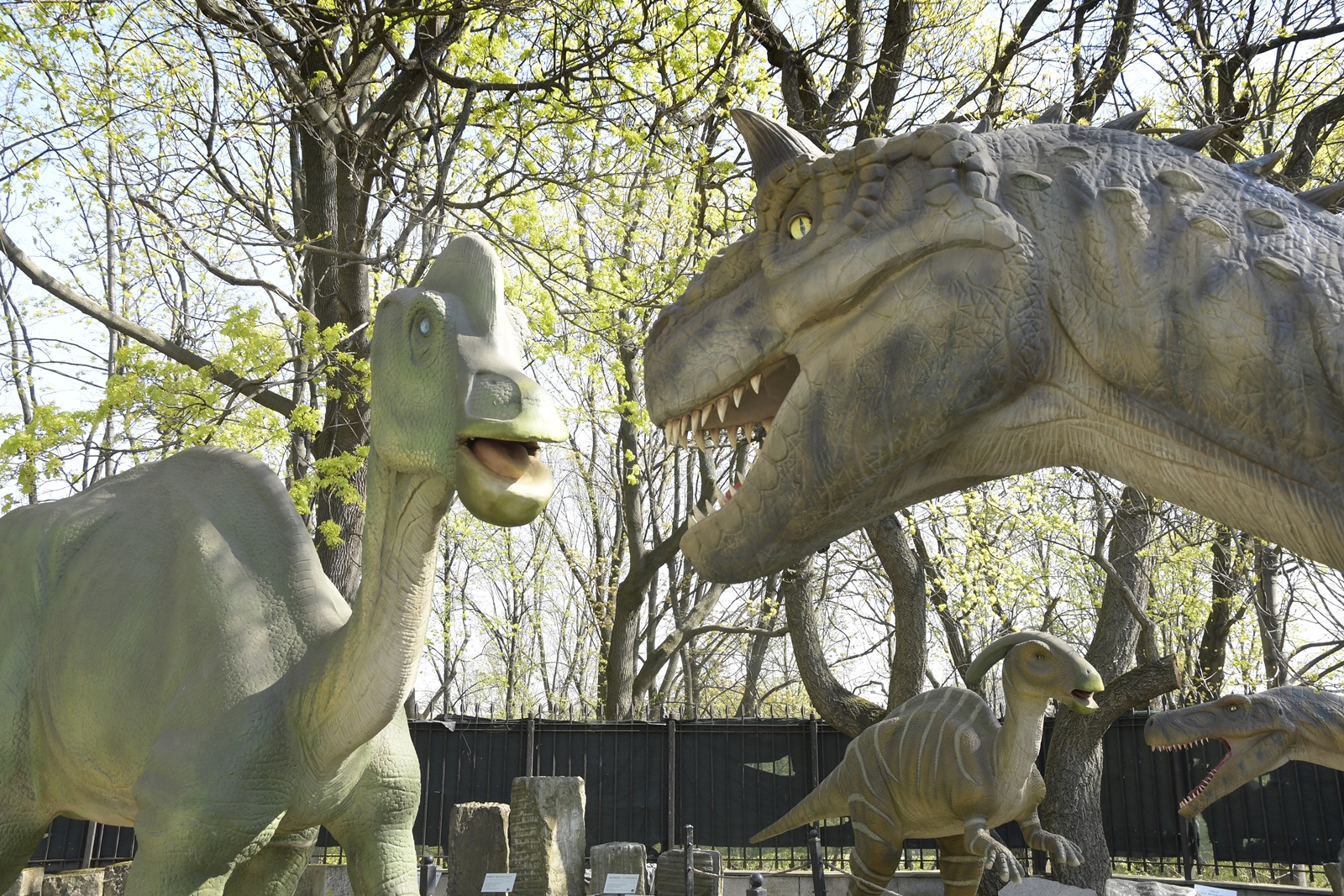 Living Dinosaurs – wystawa żywych dinozaurów w Warszawie. Jak było ...