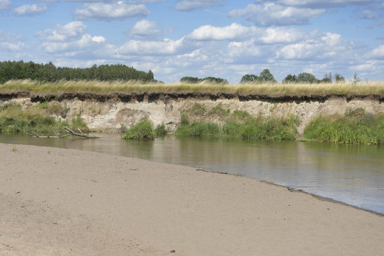 Szukasz miejsca nad wodą, gdzieś na Mazowszu? Sprawdź rzekę Liwiec ...