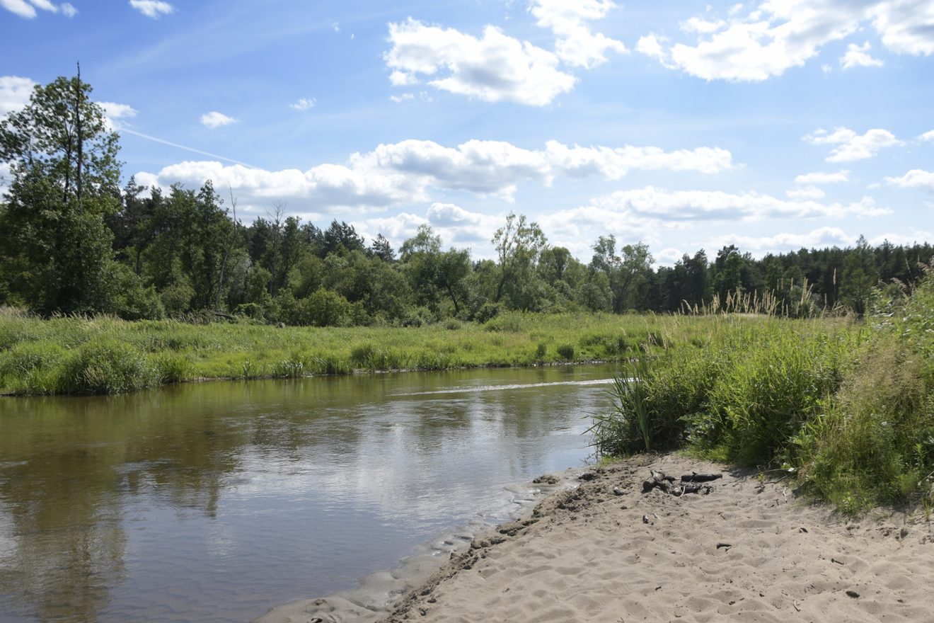 Szukasz miejsca nad wodą, gdzieś na Mazowszu? Sprawdź rzekę Liwiec ...