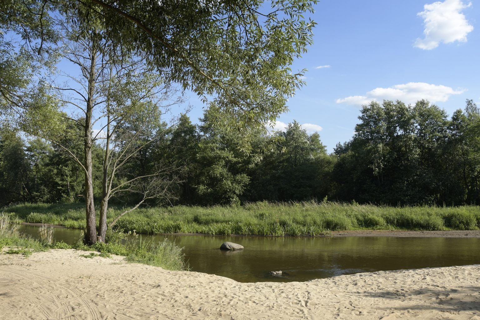 Szukasz miejsca nad wodą, gdzieś na Mazowszu? Sprawdź rzekę Liwiec ...
