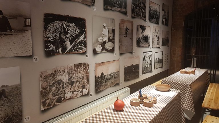 Poznańskie Muzeum Pyry - wszystko, co musisz wiedzieć o ziemniaku w ...