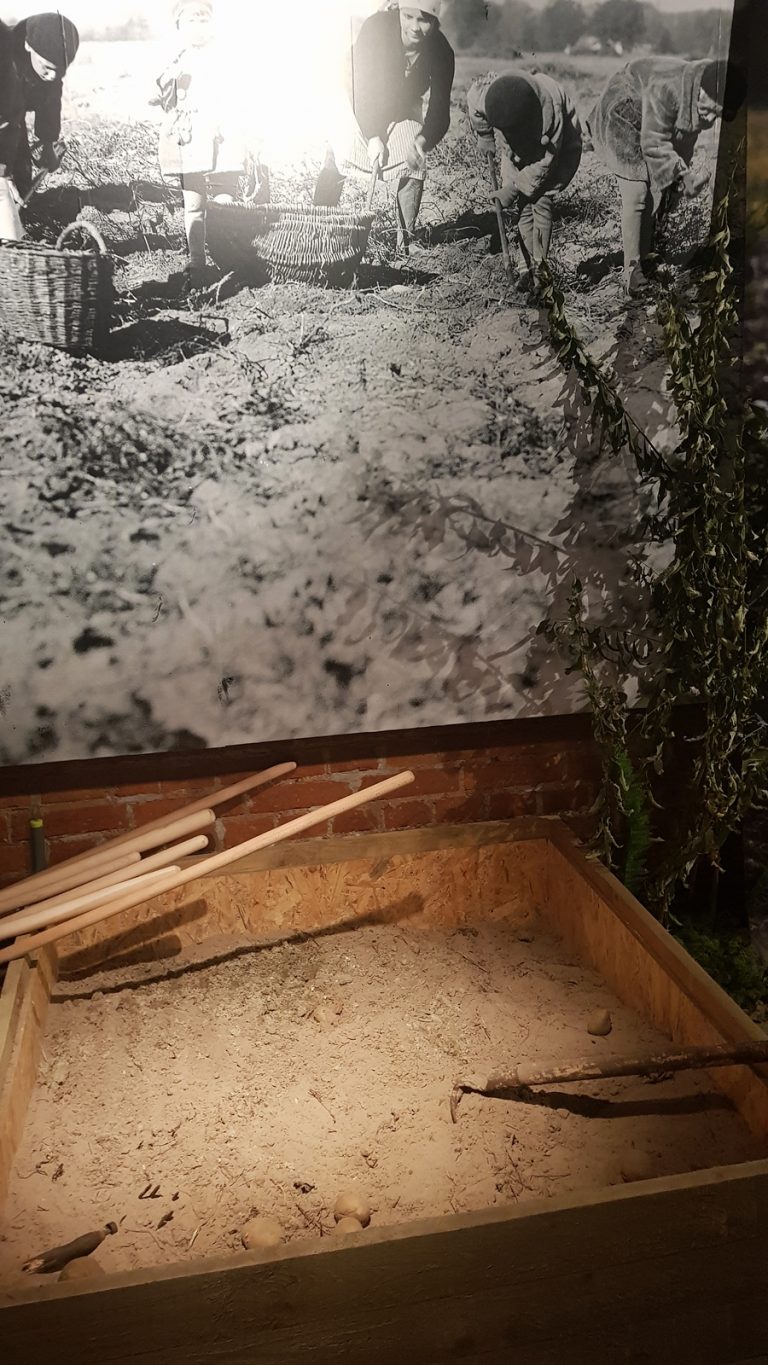 Poznańskie Muzeum Pyry - wszystko, co musisz wiedzieć o ziemniaku w ...