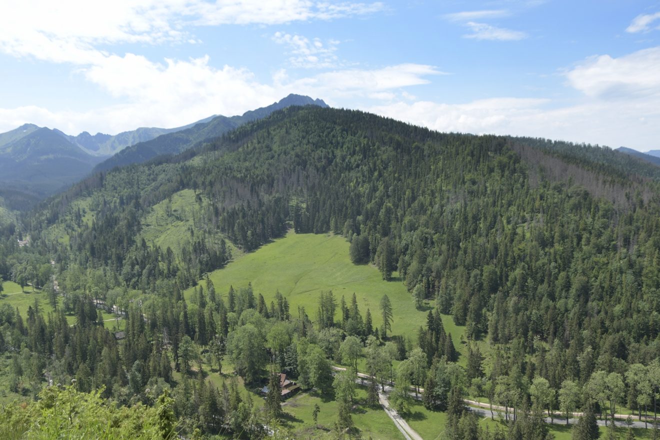 Tatry Zachodnie: Nosal - kultowy szczyt, który zdobędziesz razem z ...