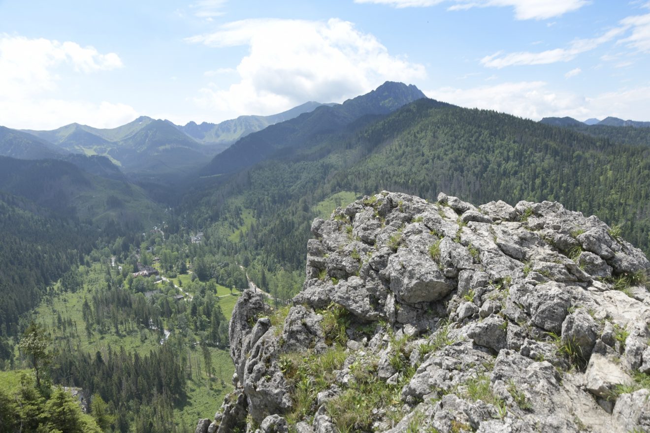 Tatry Zachodnie: Nosal - kultowy szczyt, który zdobędziesz razem z ...